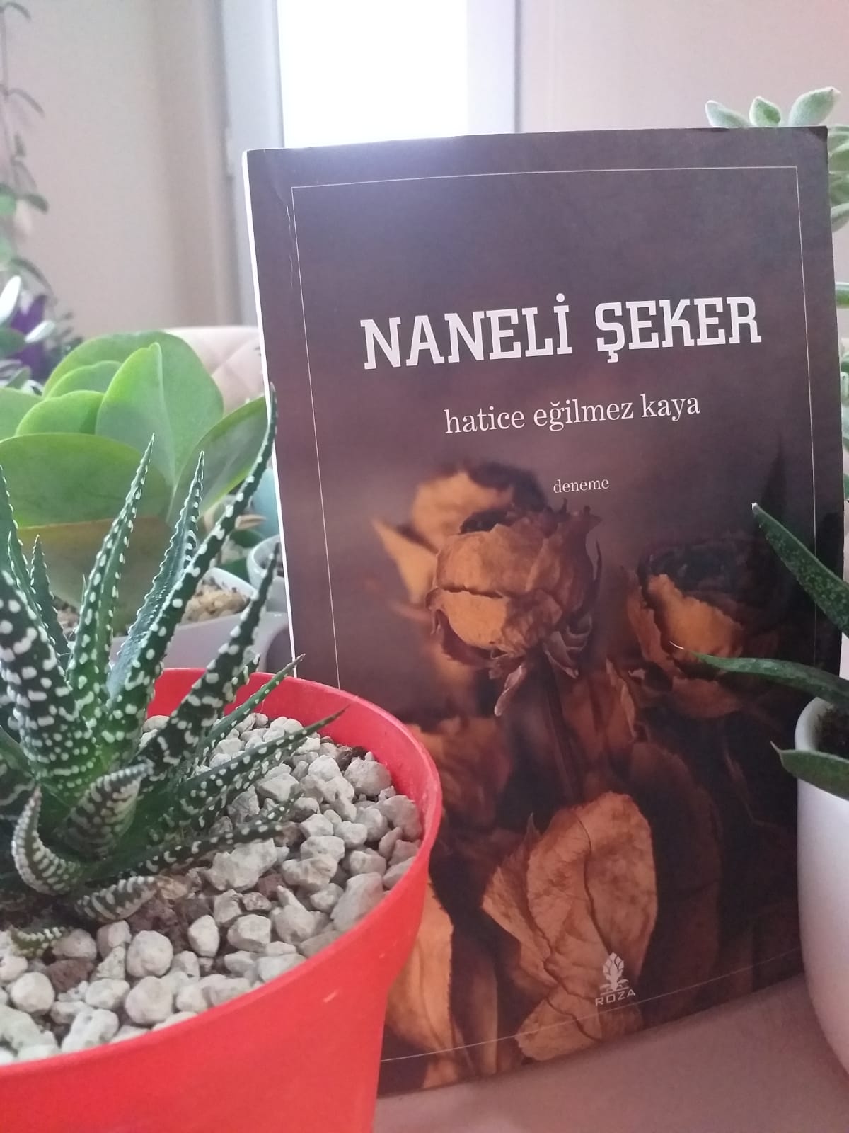 Naneli Şeker - Yazan: İlkay Coşkun - https://www.tarihistan.org/
