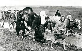 Yeni Dünyada Eski Osmanlıların Göç Konjonktürü - Yazar: Enes Kaynak ...